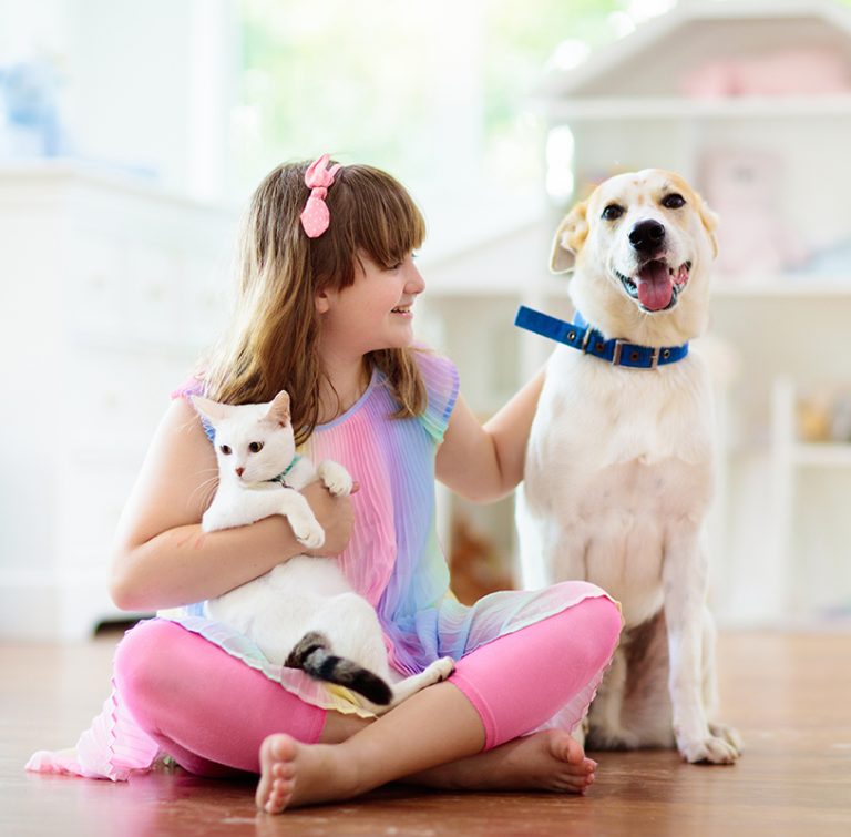 Pet Insurance - People First Federal Credit Union